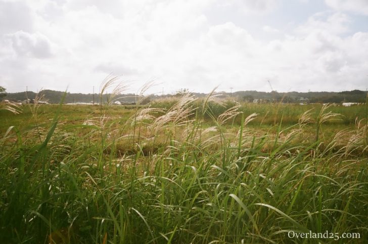 【選び方】コンパクトフィルムカメラおすすめ15選まとめ。作例付き（マニュアル～AF機） | Overland25